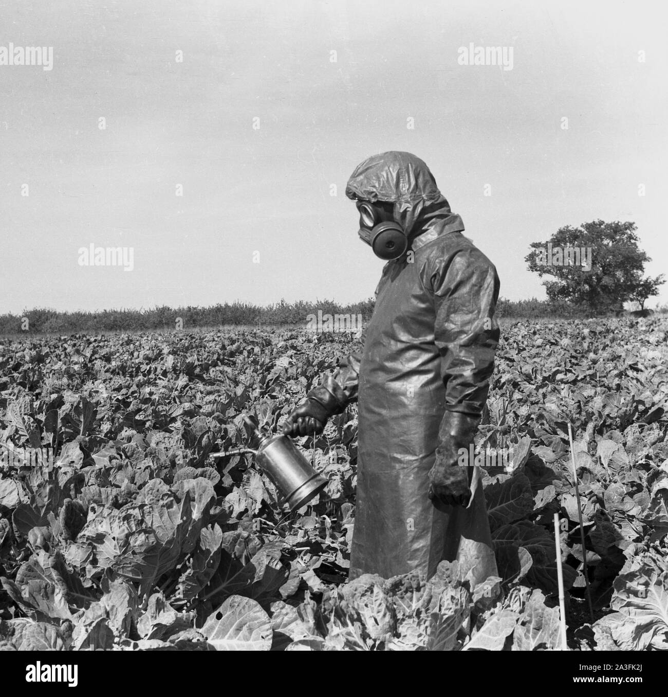 Crop spraying 1950's hi-res stock photography and images - Alamy