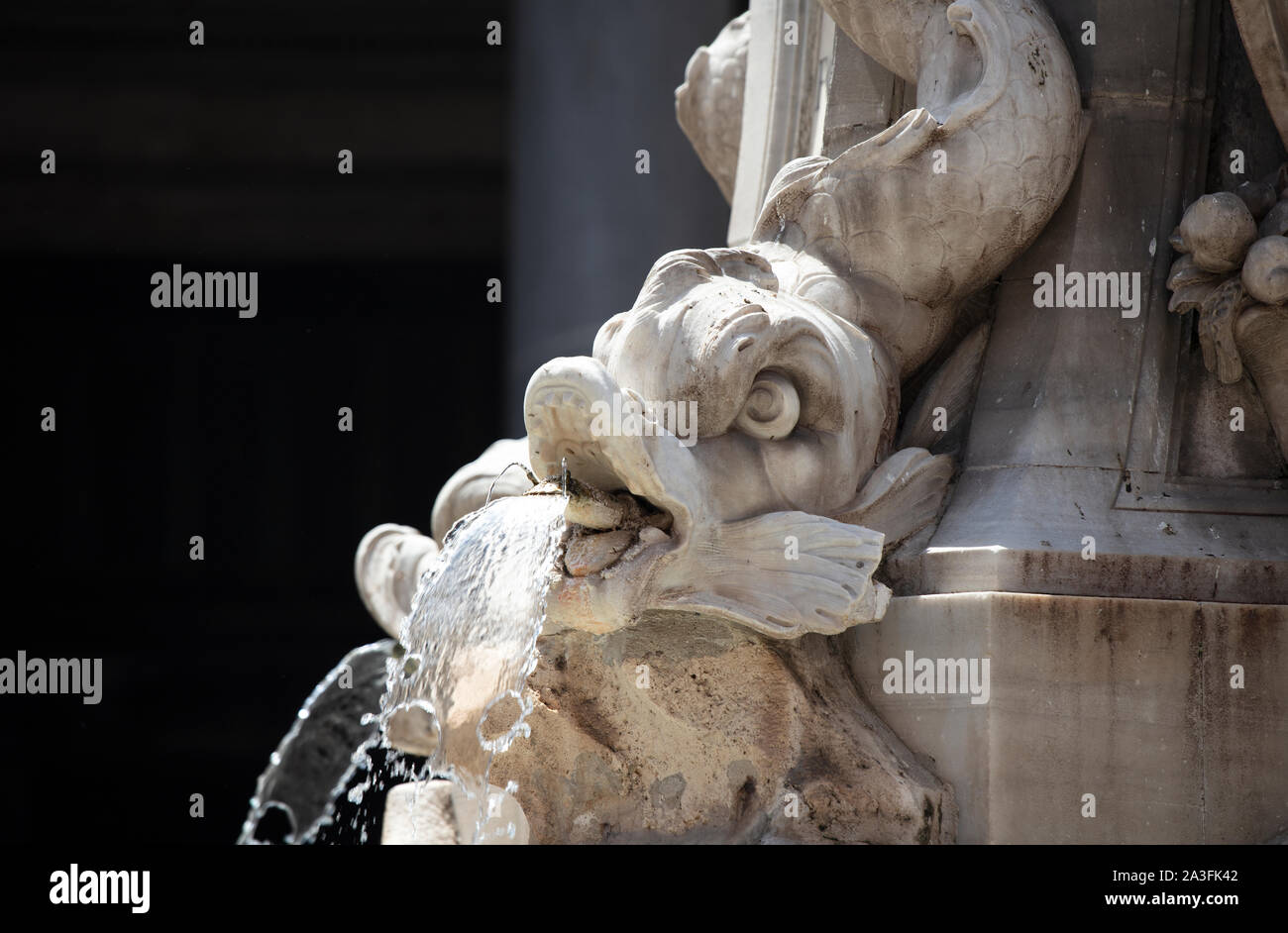 A dolphin water spout on the Fontana del Pantheon in Rome. In the ...