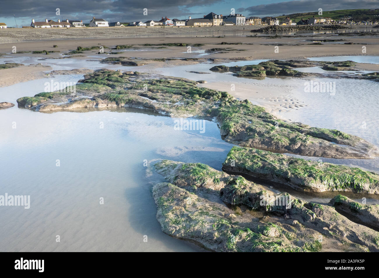 Submerged Forest Borth West Wales High Resolution Stock Photography and ...