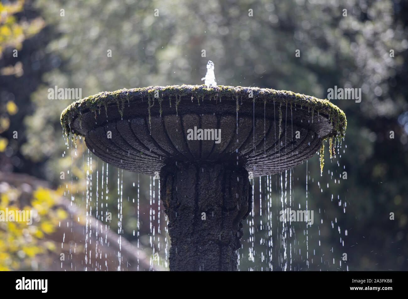 A renaissance fountain in the gardens of Villa Lante, flowing with ...