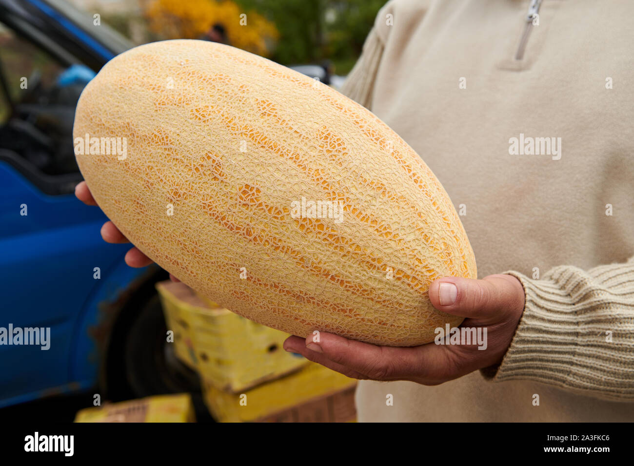 Oval fruit hi-res stock photography and images - Alamy