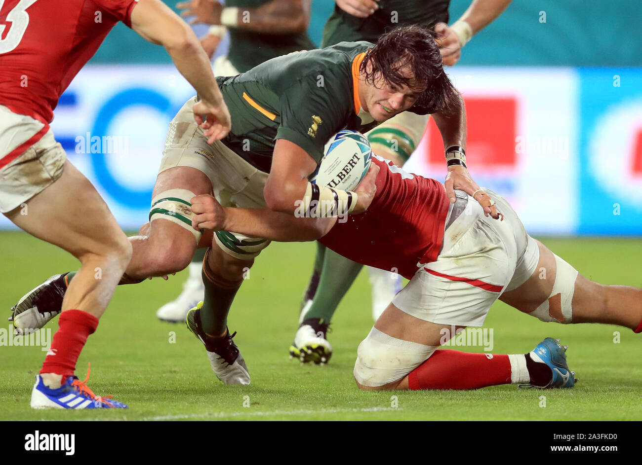 Franco mostert rugby south africa 2019 hi-res stock photography and ...