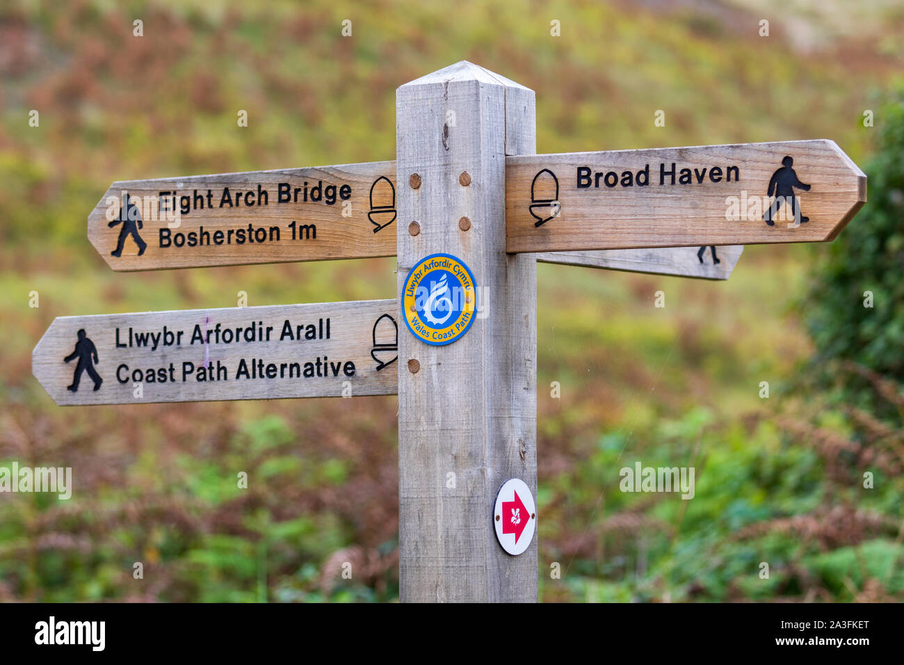 Welsh coastal path sign showing directions to Bosherton and broad haven ...