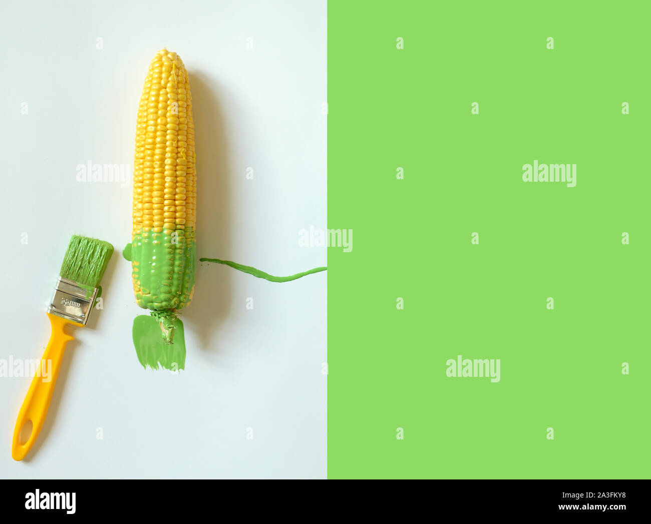 Corn is painted with paintbrush on white background.idea food concept ...