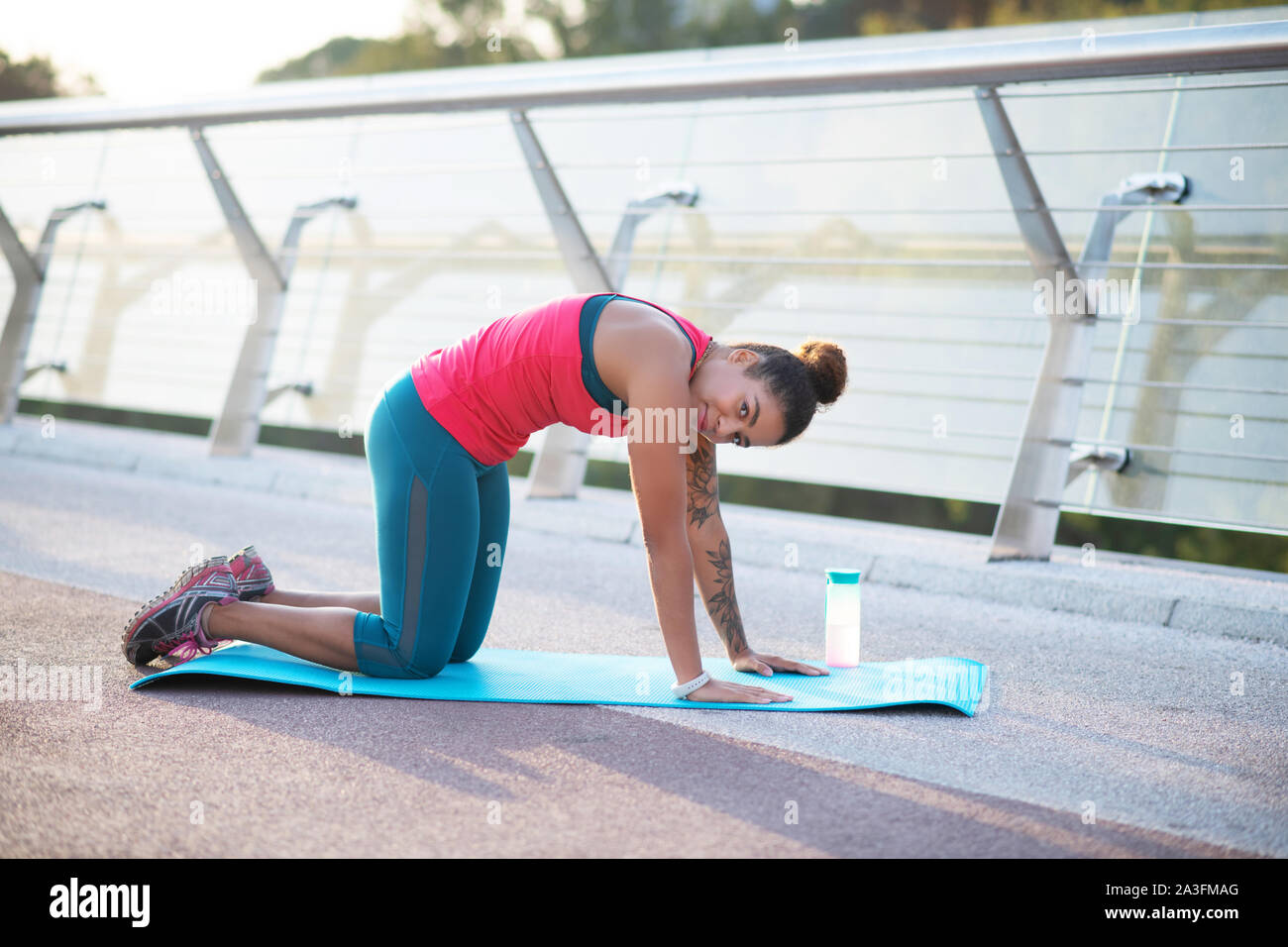 Yoga cat pose hi-res stock photography and images - Alamy
