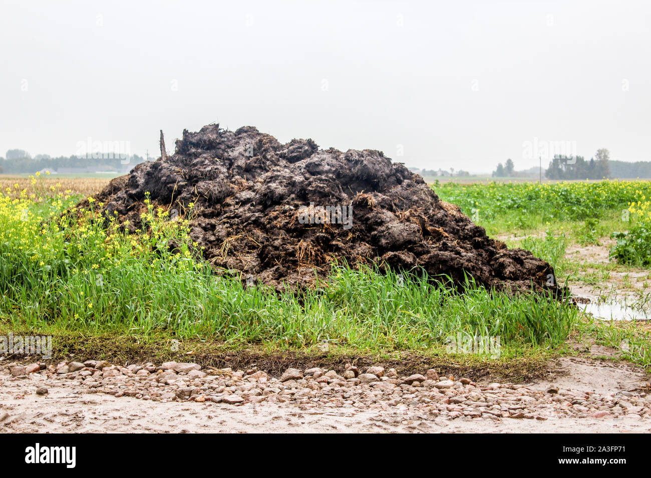 Cow Manure Fertilizer