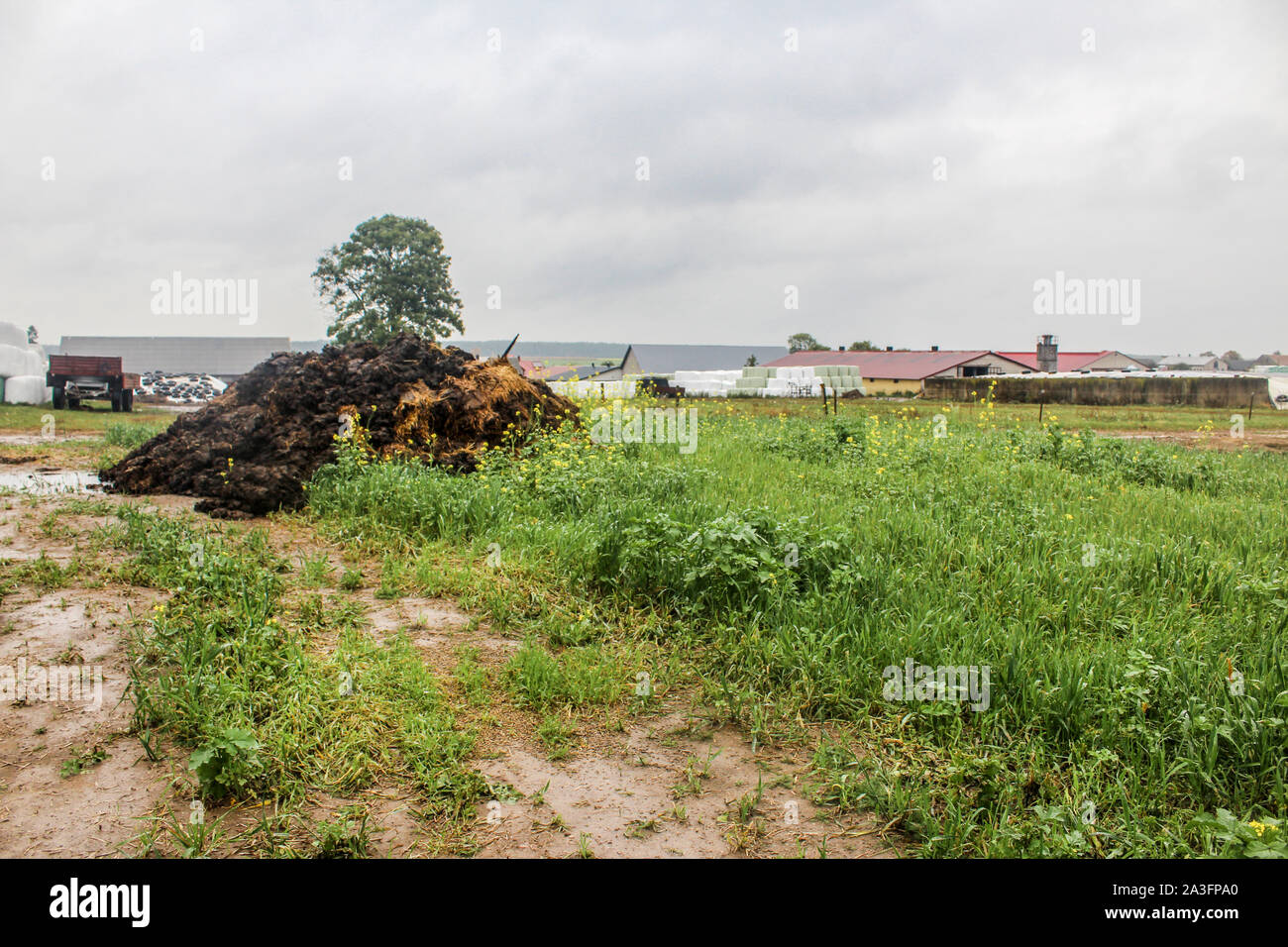Pile of manure hi-res stock photography and images - Alamy