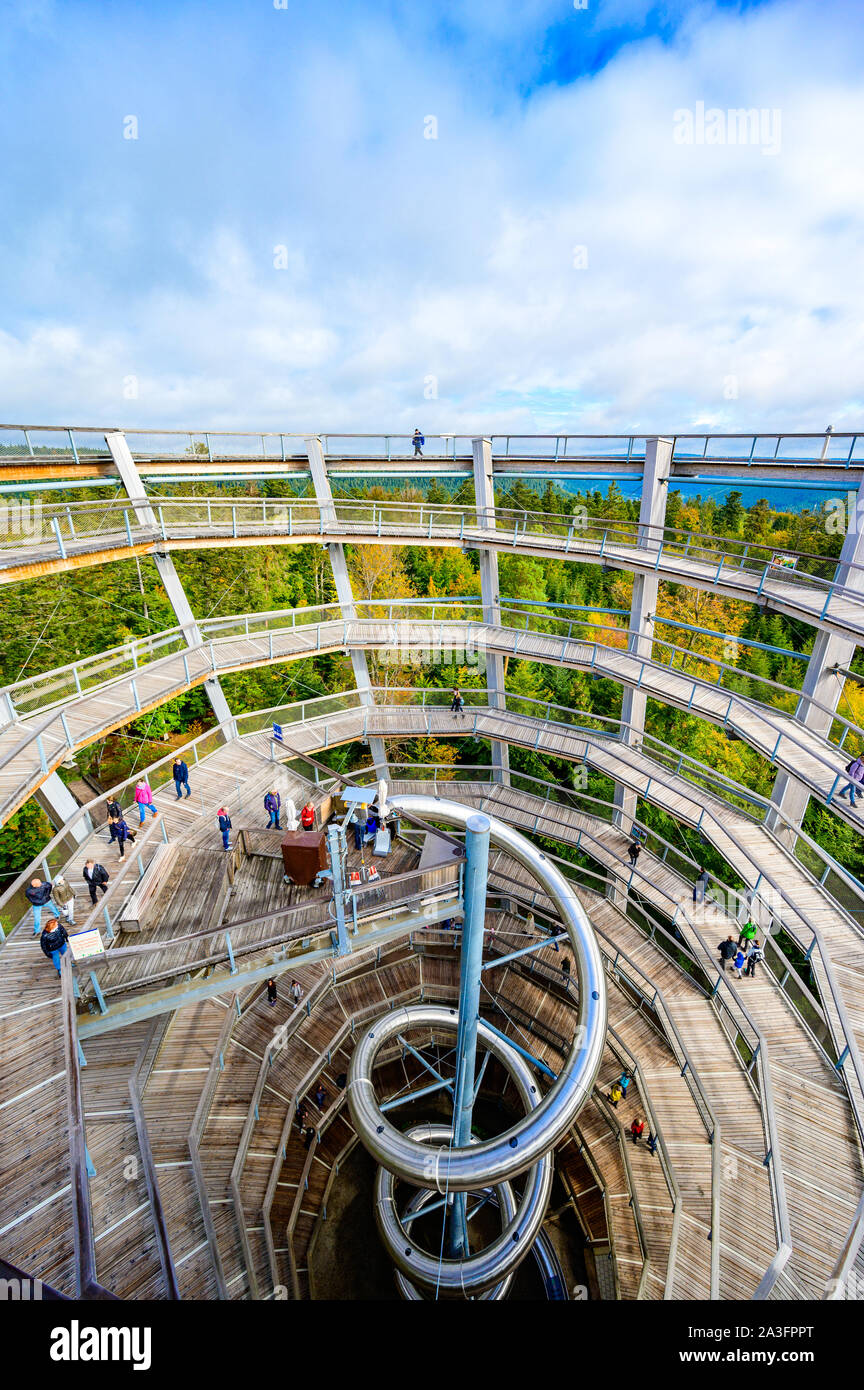 View Best Black Forest