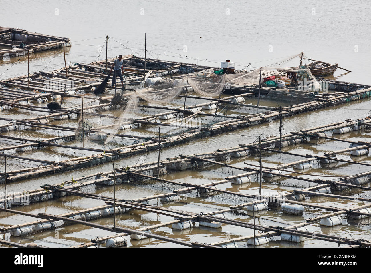 Bamboo structures for aqua culture floating Stock Photo - Alamy