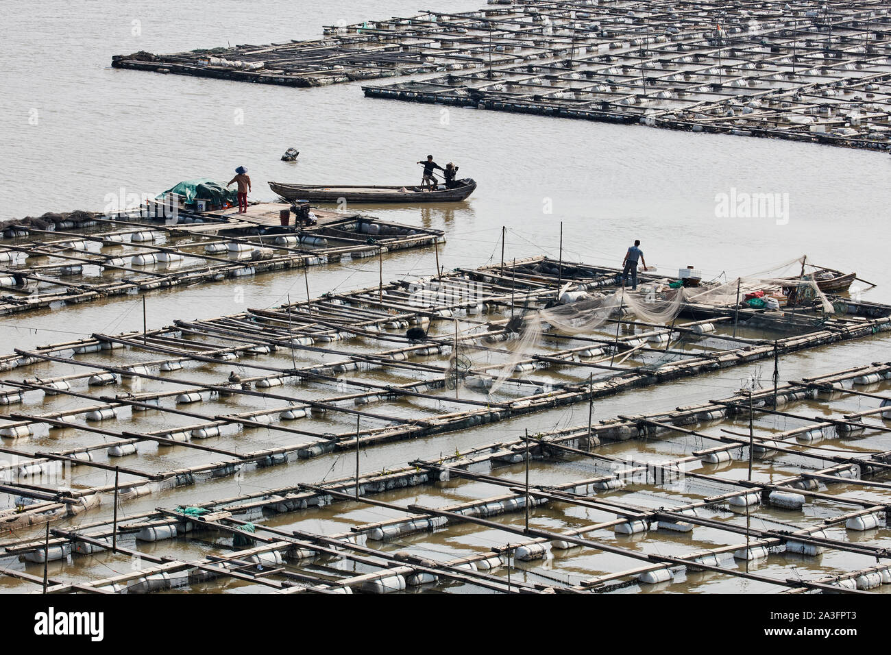 Bamboo structures for aqua culture floating Stock Photo - Alamy