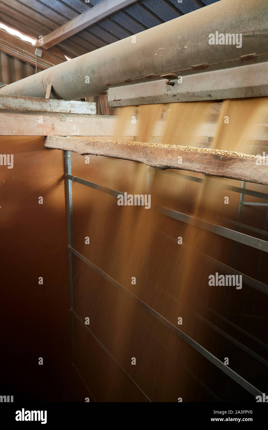 Filling crop into a silo Stock Photo - Alamy