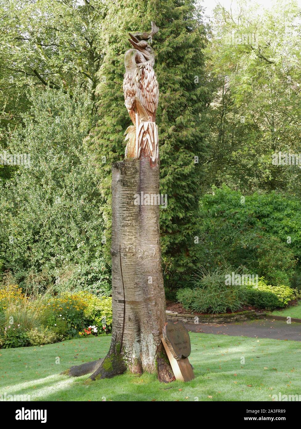 Fish tree hi-res stock photography and images - Alamy