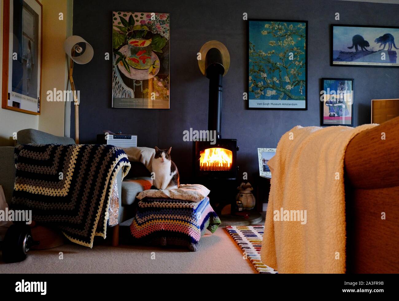 Cat resting on foot stool hi-res stock photography and images - Alamy