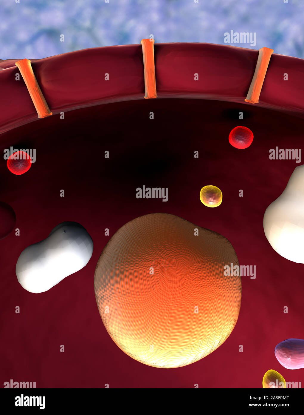 Human Insulin Injection Mechanism Of Action at Erica Laforge blog