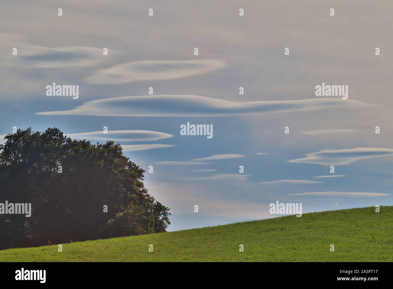 Foehnfische hi-res stock photography and images - Alamy