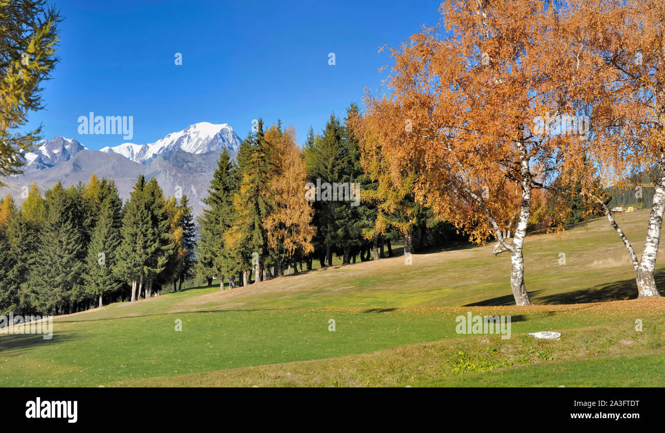 beautiful autumnal scenery in alpine mountain with white Mont-Blanc ...
