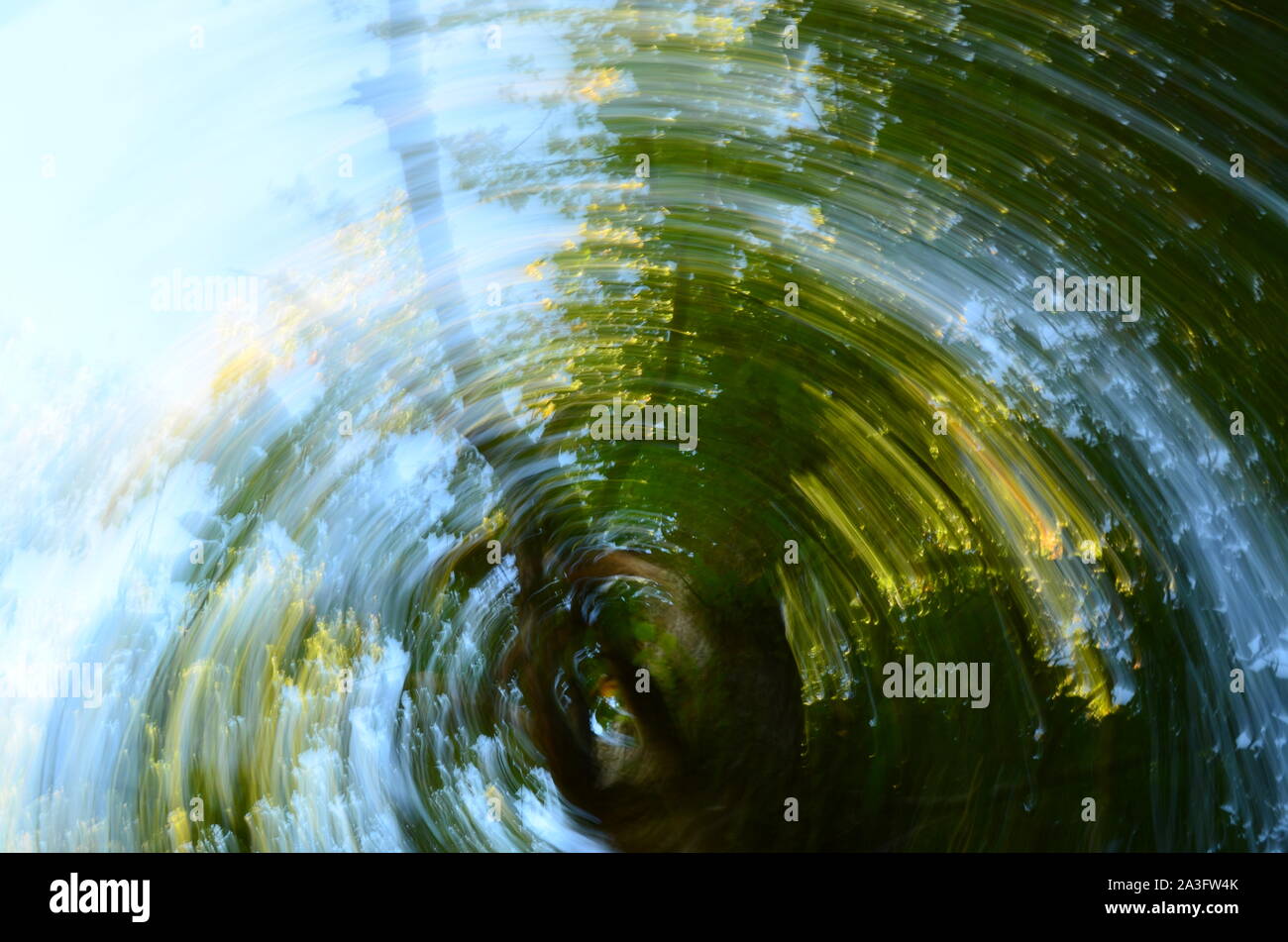 spinning effect in the forest. abstract background Stock Photo - Alamy
