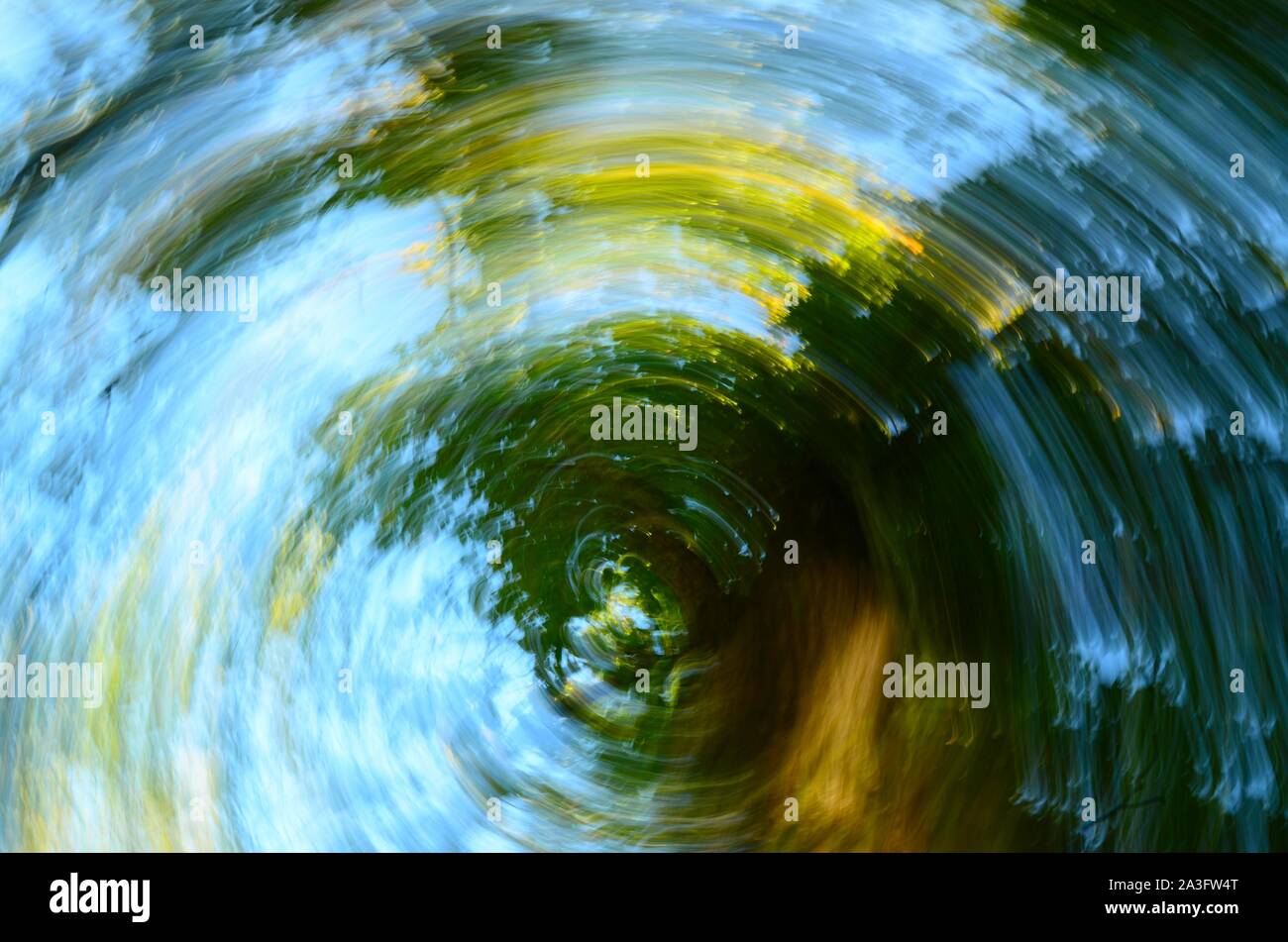 spinning effect in the forest. abstract background Stock Photo - Alamy