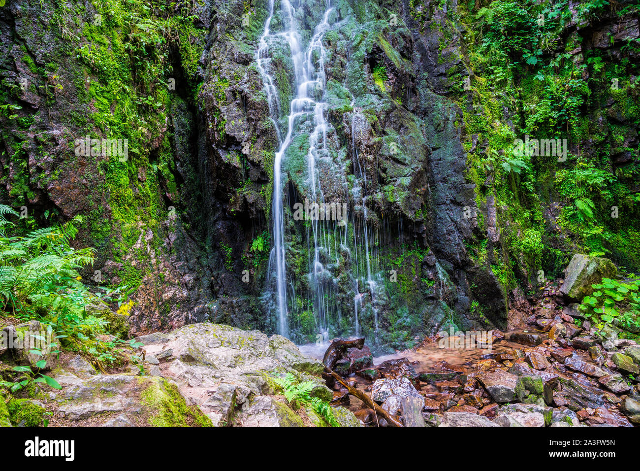 Germany, Magical wild waterfall at green moss covered rock wall, called ...