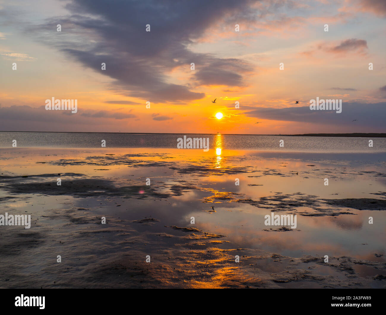 Coastal landscape at the North Sea Stock Photo - Alamy