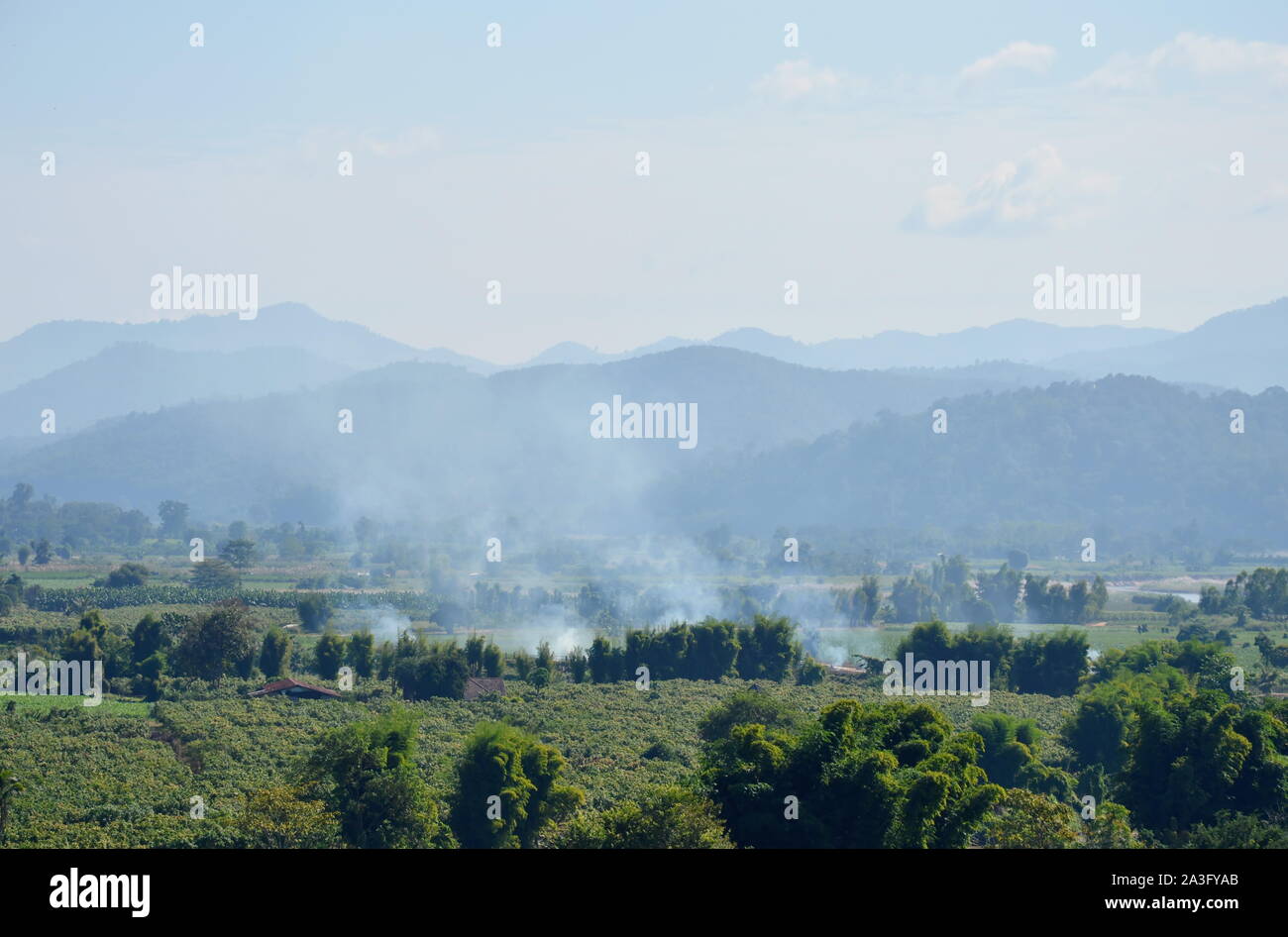 smoke from straw burning on paddy field Stock Photo - Alamy