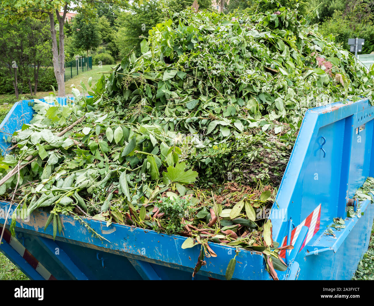 Containers with green waste Stock Photo - Alamy