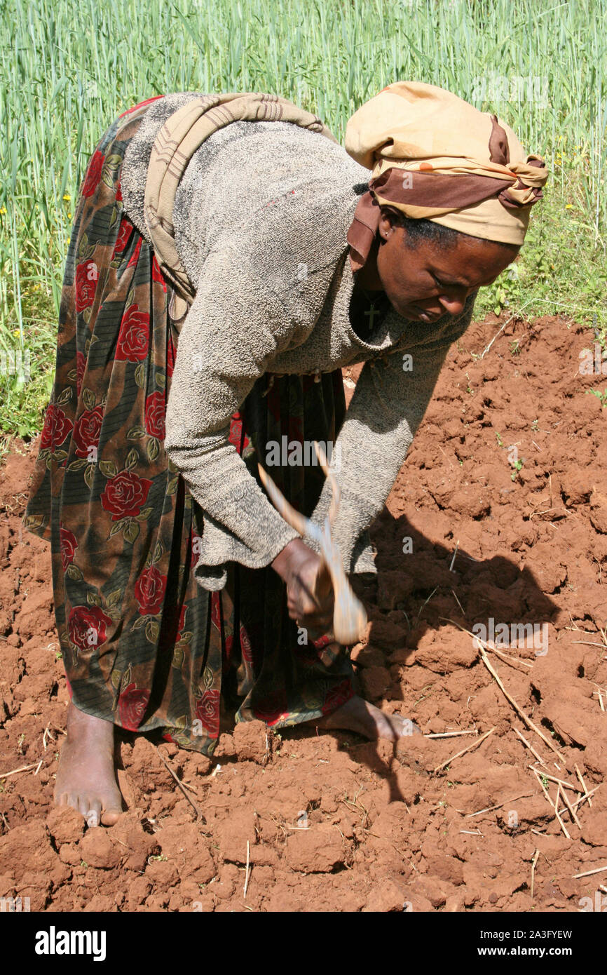 Hoe farming africa hi-res stock photography and images - Alamy