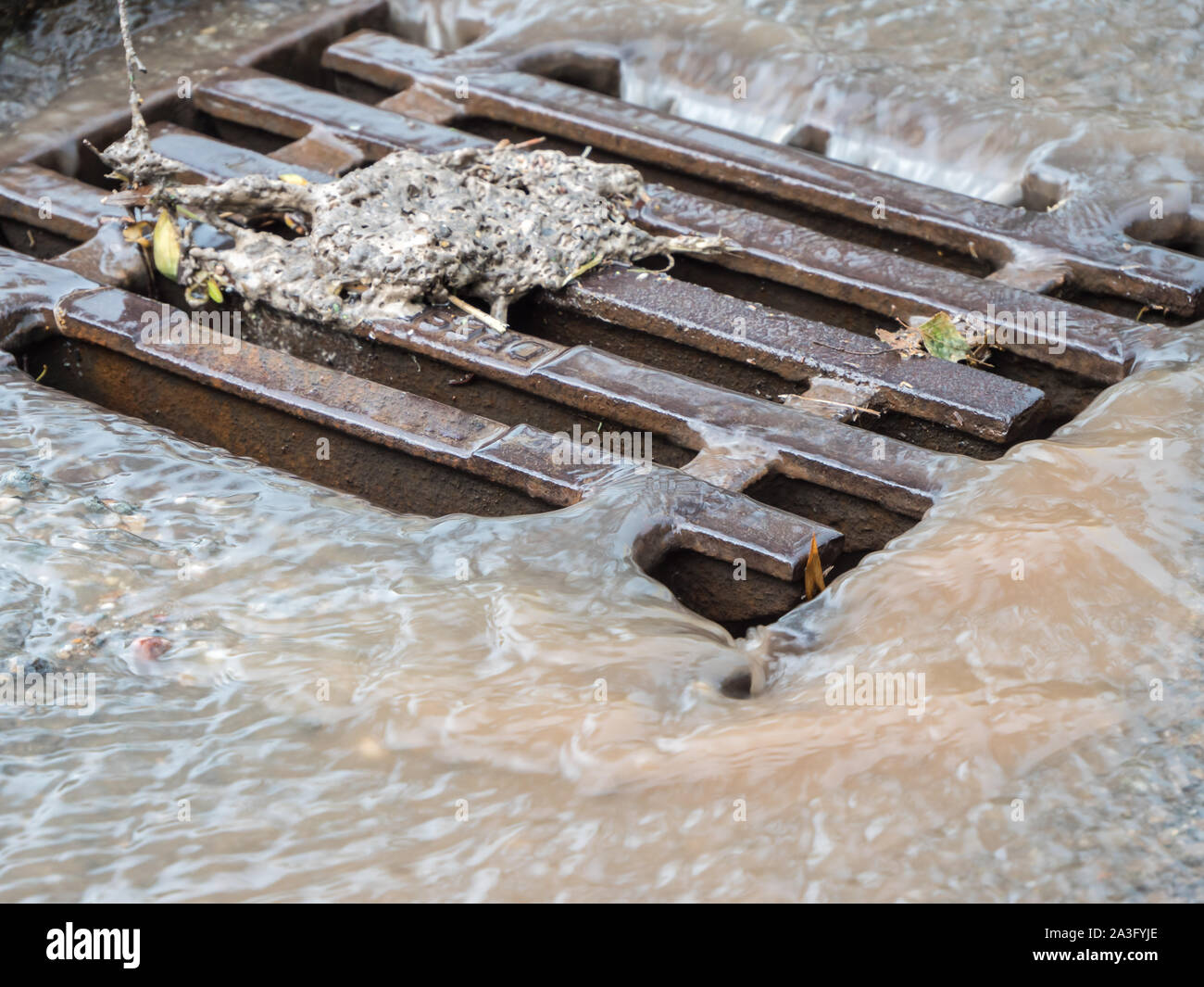 running Gulli in heavy rain Stock Photo - Alamy