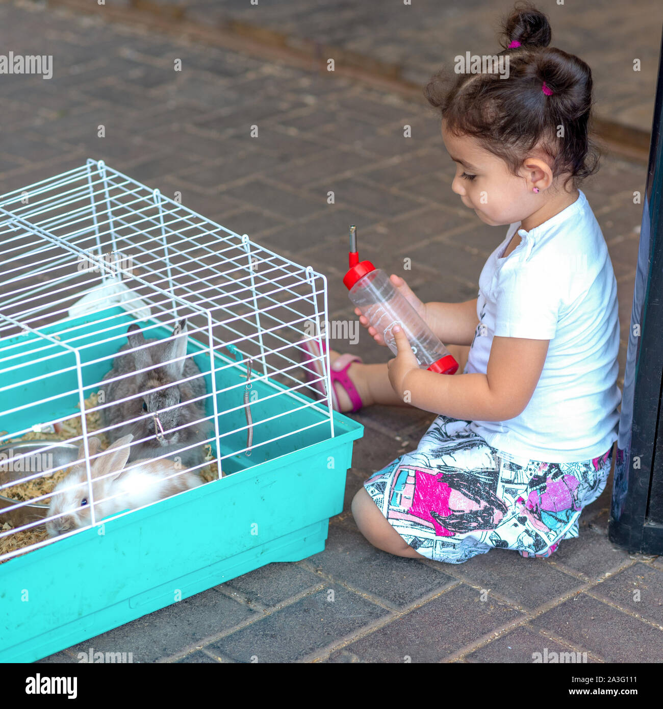 Farm Animal Drinking Water High Resolution Stock Photography and Images ...