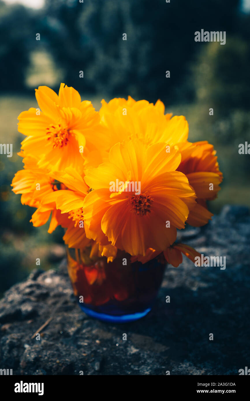 Decorative Yellow Ulam raja in vase glass Stock Photo - Alamy
