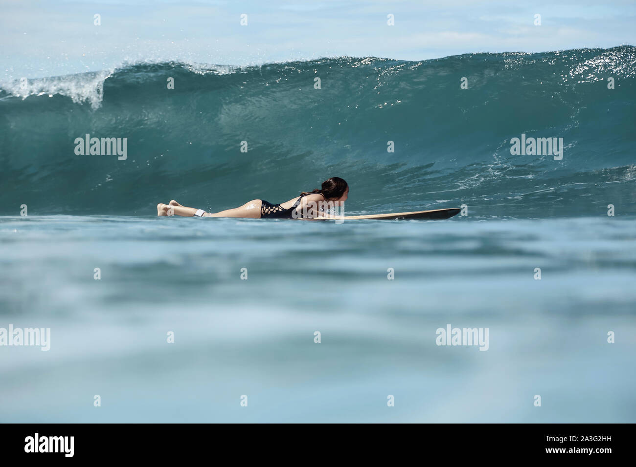 Sportive surfer swimming in ocean hi-res stock photography and images ...