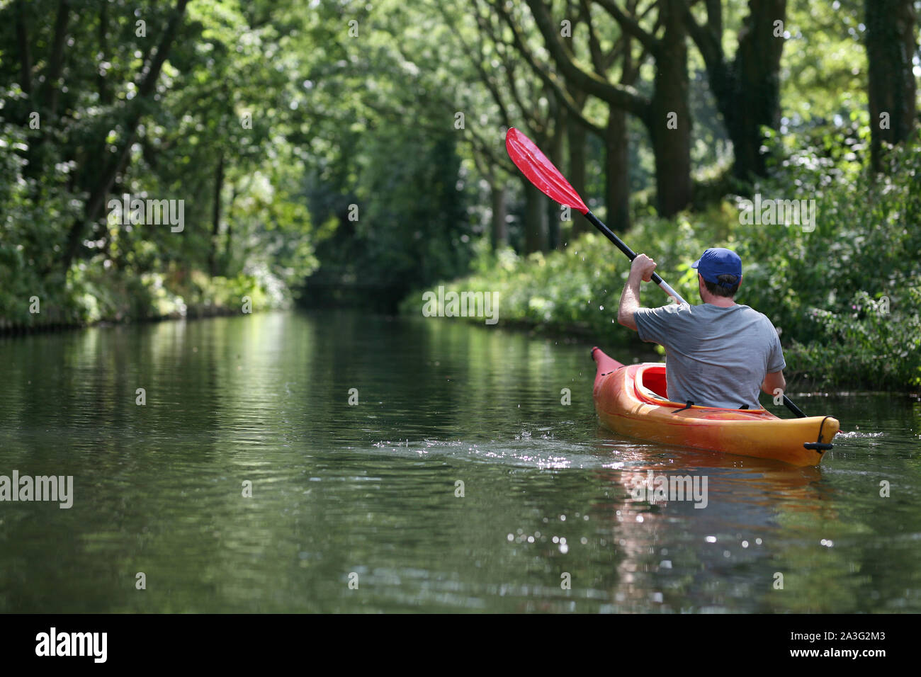Tree canopy kayaking hi-res stock photography and images - Alamy