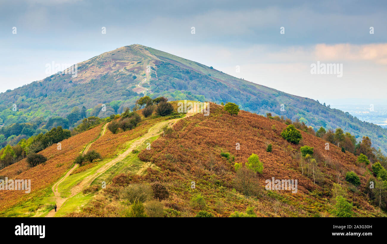 Shire ditch hi-res stock photography and images - Alamy