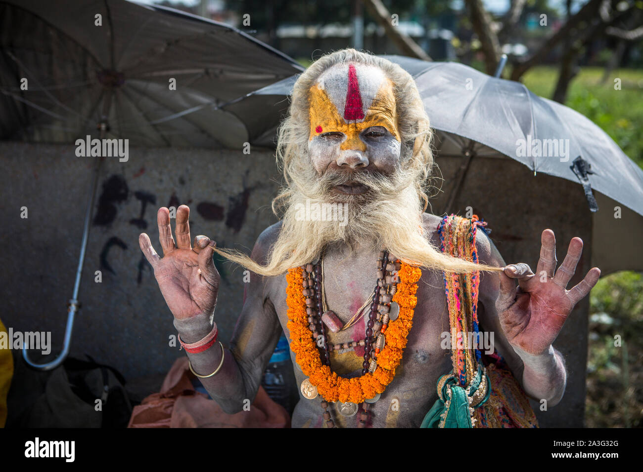A sadhu, a Hindu holy man, shows off his beard in Kathmandu, Nepal ...