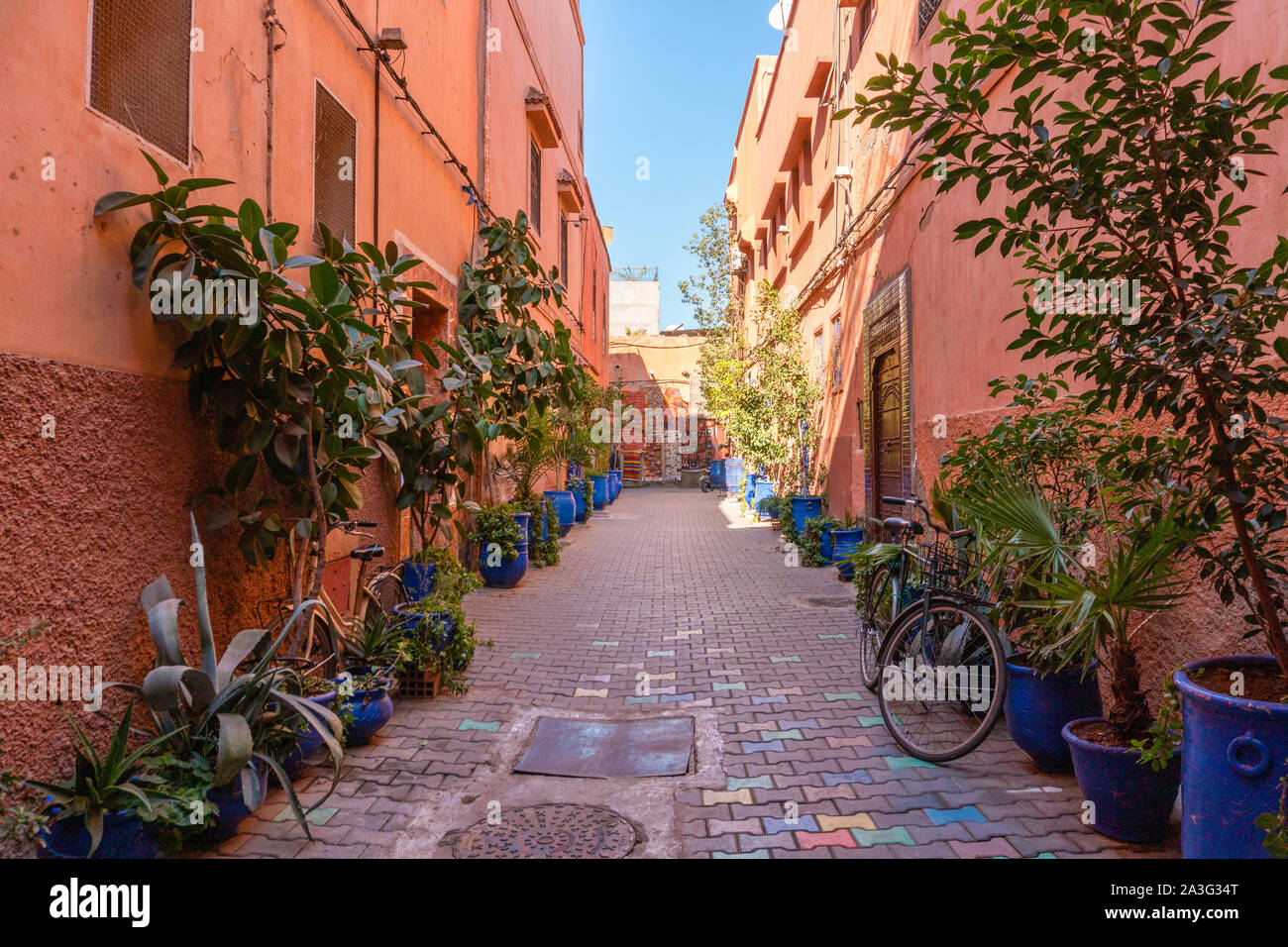 picturesque street in Marrakesh city with plants in blue vases and ...