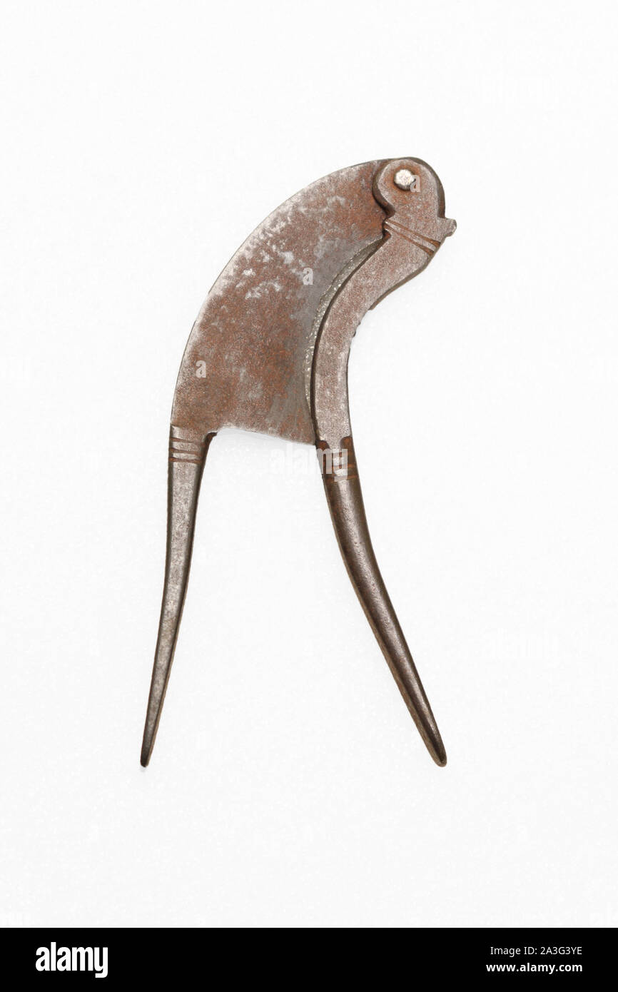 old, Rusty, betel, nut cutter Stock Photo - Alamy