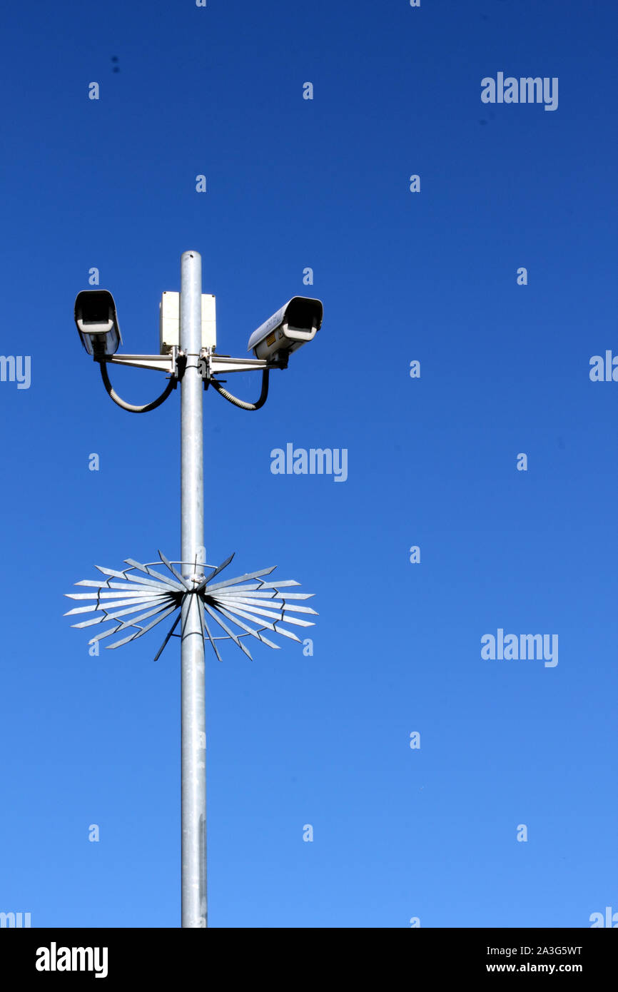 Upright view of security cameras on tall pole against deep blue sky ...