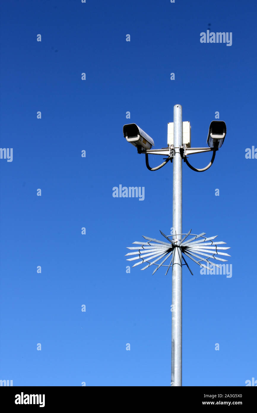 Upright view of security cameras on tall pole against deep blue sky ...