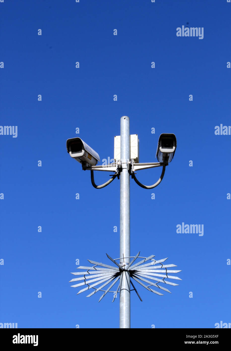 Upright view of security cameras on tall pole against deep blue sky ...