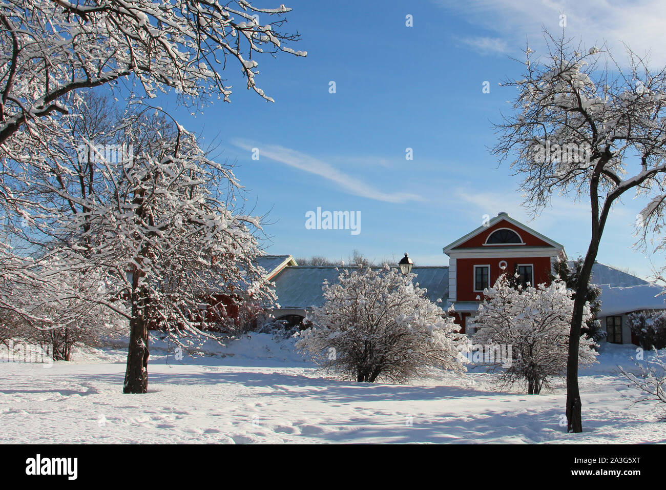 A lonely house in the middle of a snowy forest. Beautiful trees covered ...