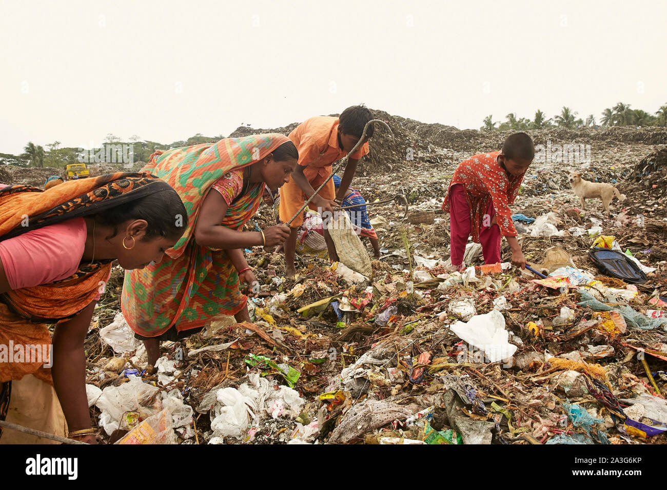 Bangladesh Khulna Children spliting Garbage on the landfill site 26-09 ...