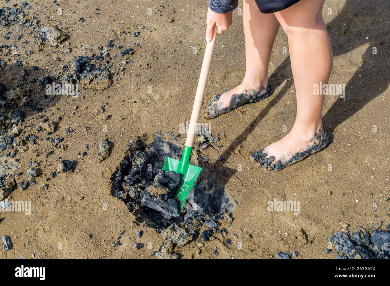 digging in the mud flats Stock Photo - Alamy