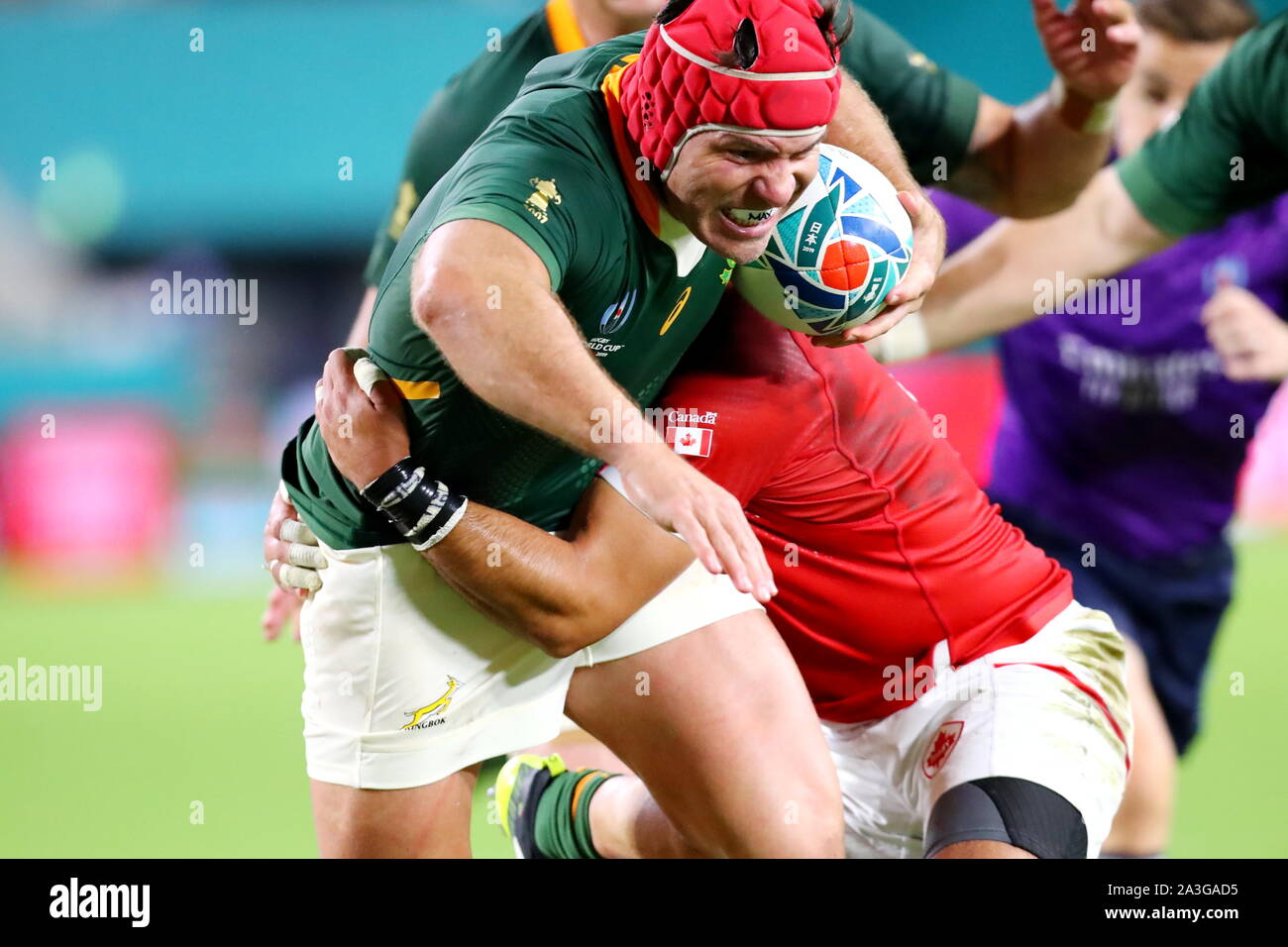Kobe, Hyogo, Japan. 8th Oct, 2019. Schalk Brits (RSA) Rugby : 2019 ...