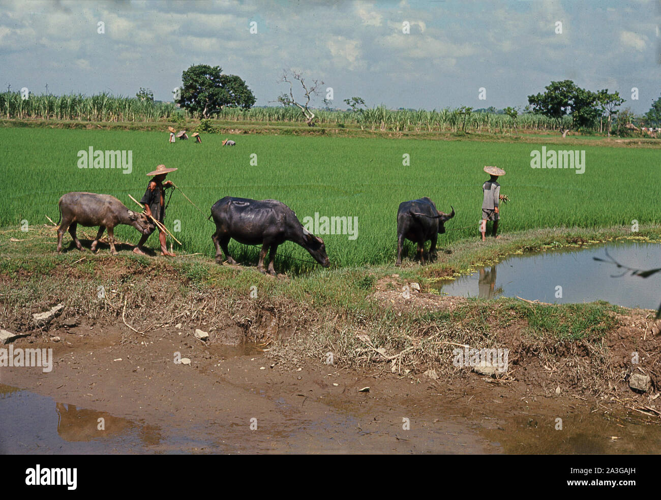 Canton Historical China High Resolution Stock Photography and Images ...