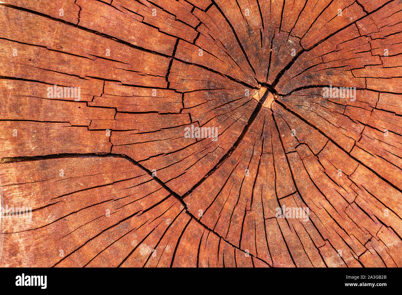 Dark brown and red tree trunk texture or background Stock Photo - Alamy