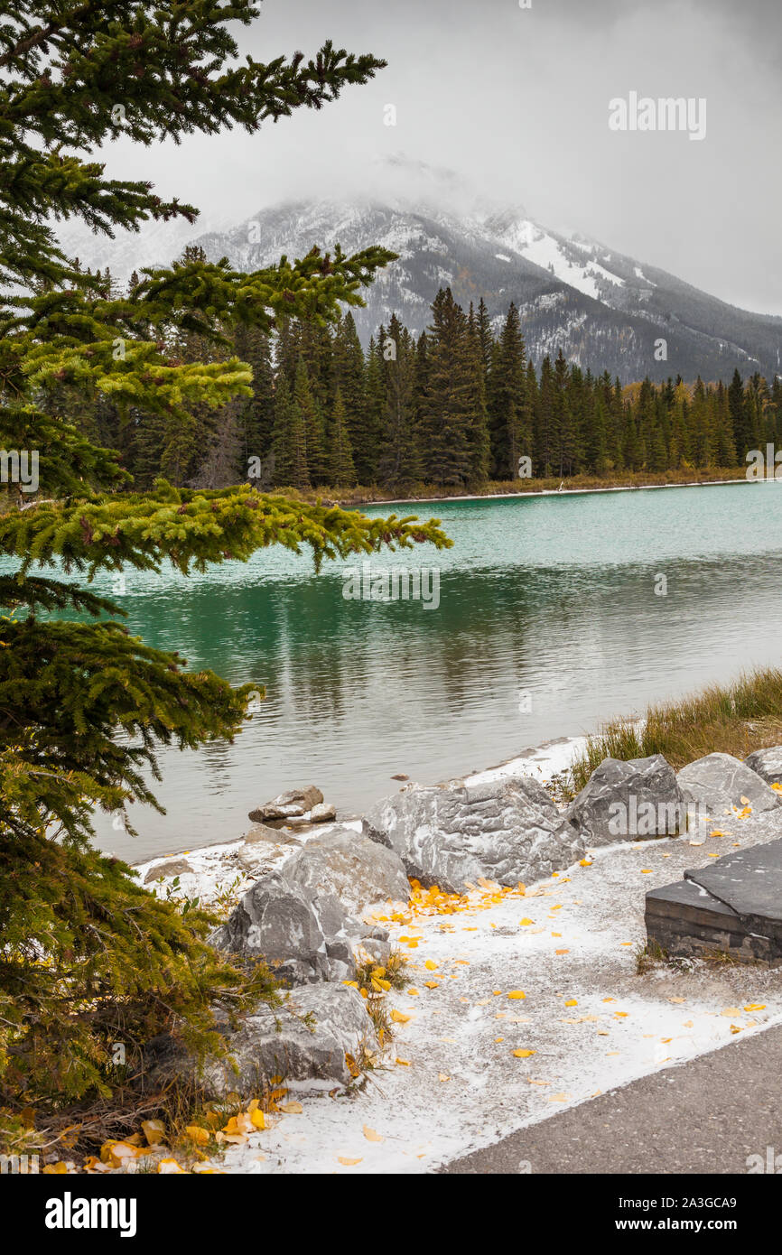 Riverside view of the Rocky Mountains across the Bow River in the ...