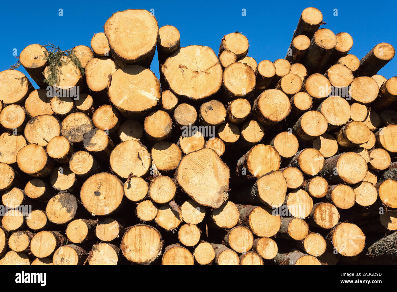 Wood storage in timber hi-res stock photography and images - Alamy