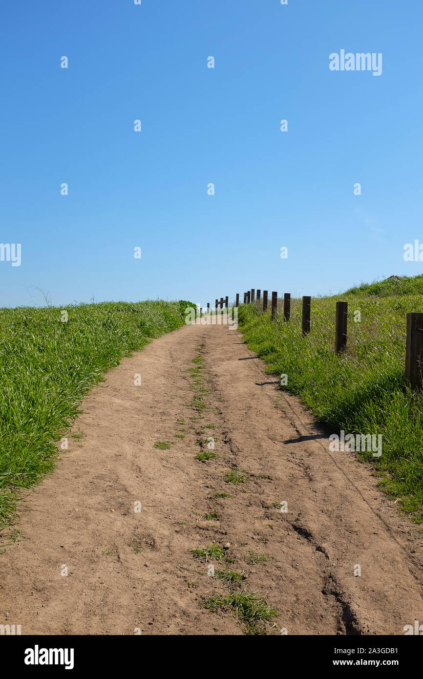 A rutted dirt trail up a hill leading to a bright blue sky with green ...
