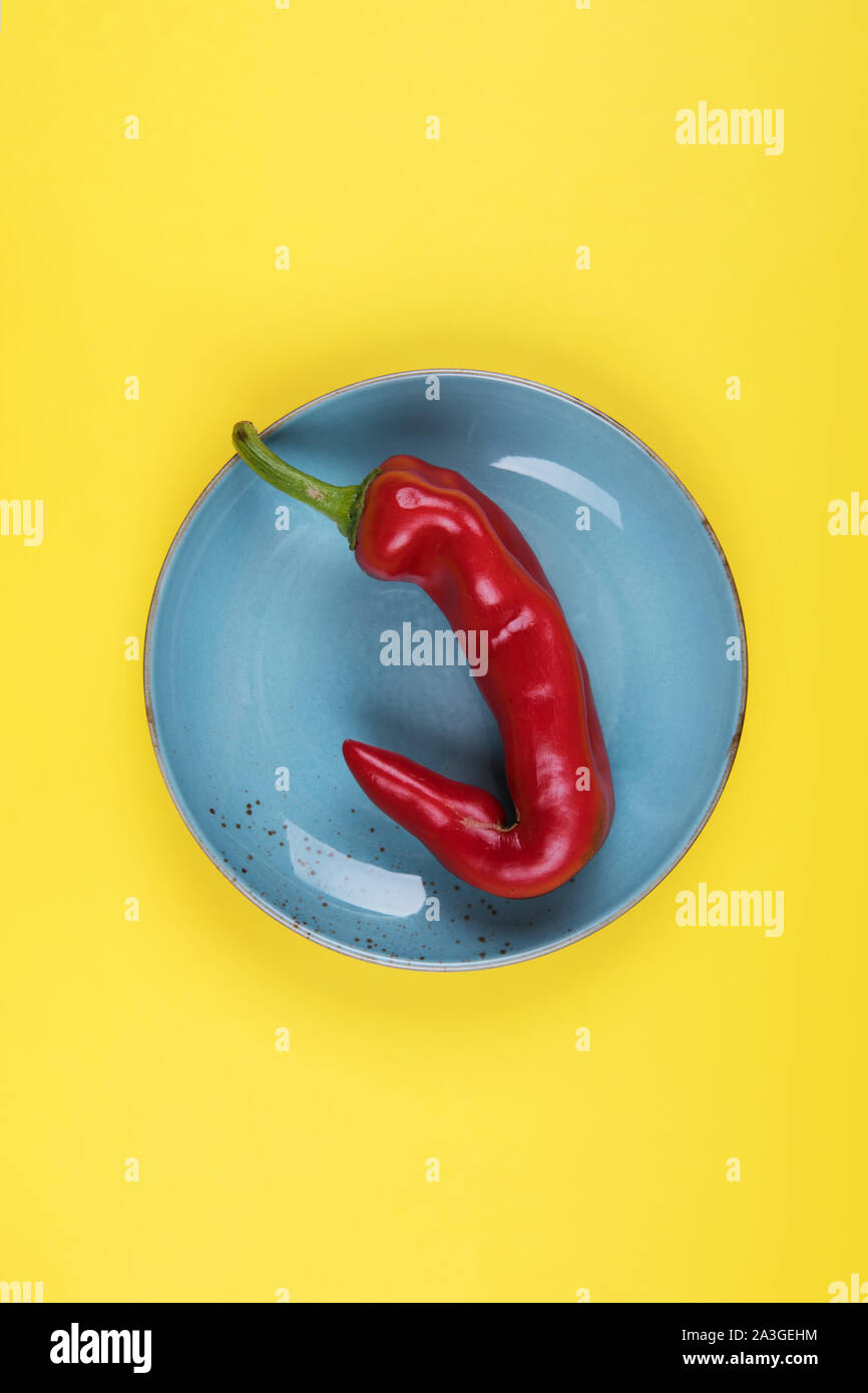 ugly red chili peppers on a blue plate on a yellow background, minimal ...
