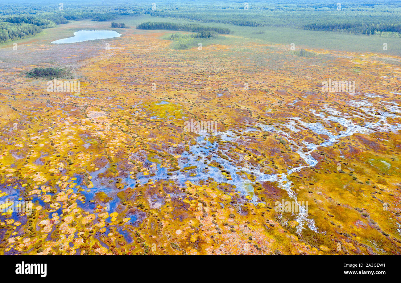Beautiful Autumn Swamp Aerial View Stock Photo - Alamy